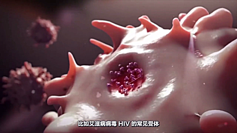 新型冠状病毒是怎么传播与感染的,感染率与死亡率是多少?