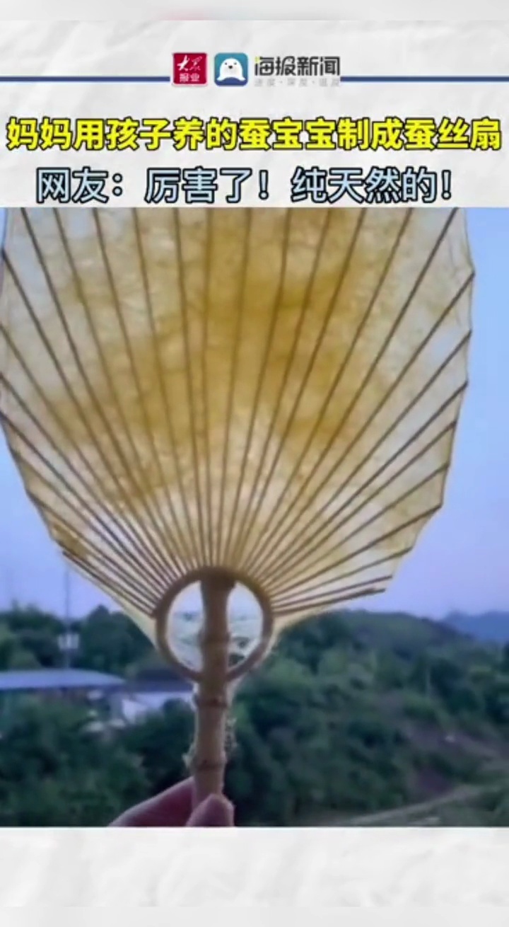 妈妈用孩子养的蚕宝宝制成蚕丝扇!网友:厉害了!纯天然!