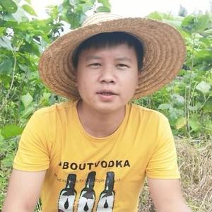 农村二表哥 