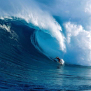 喜欢越野の慕容彦珺 