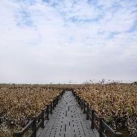 青年小空空 