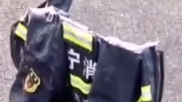 泪崩!东北消防火里进冰里出 连消防衣都能"笔直站立"