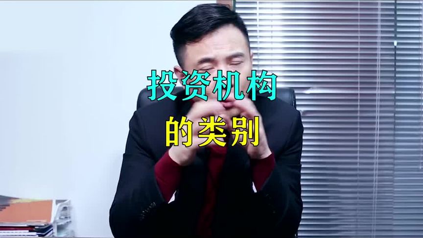 投资机构的类别#干货 #企业战略