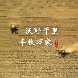 丰收万家 