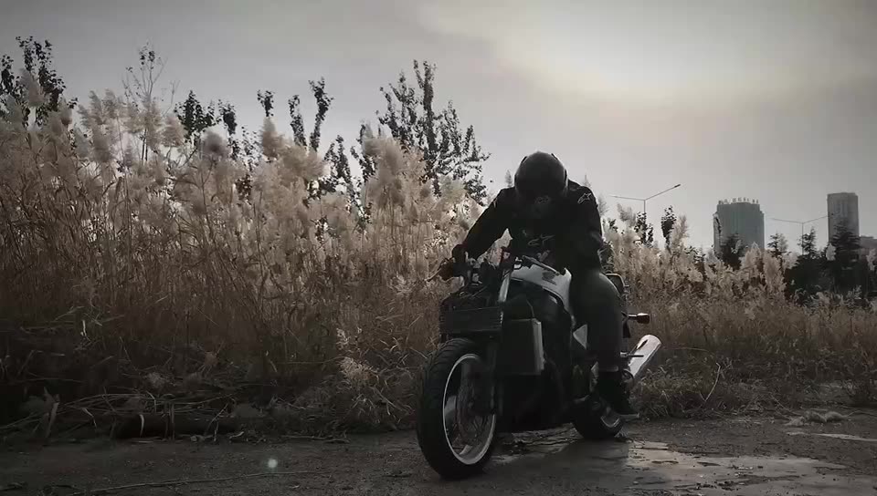 放开那个Y1,让我先来!这是啥