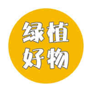 绿植好物
