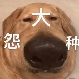 我再也不买东西辣 