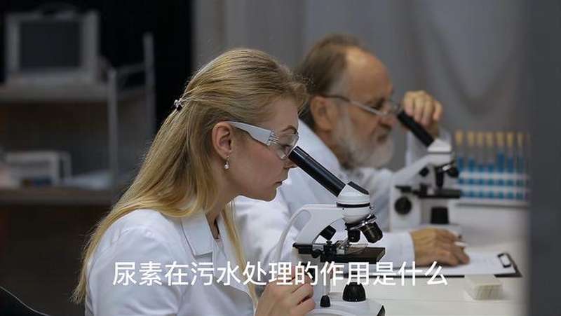 尿素在污水处理的作用是什么