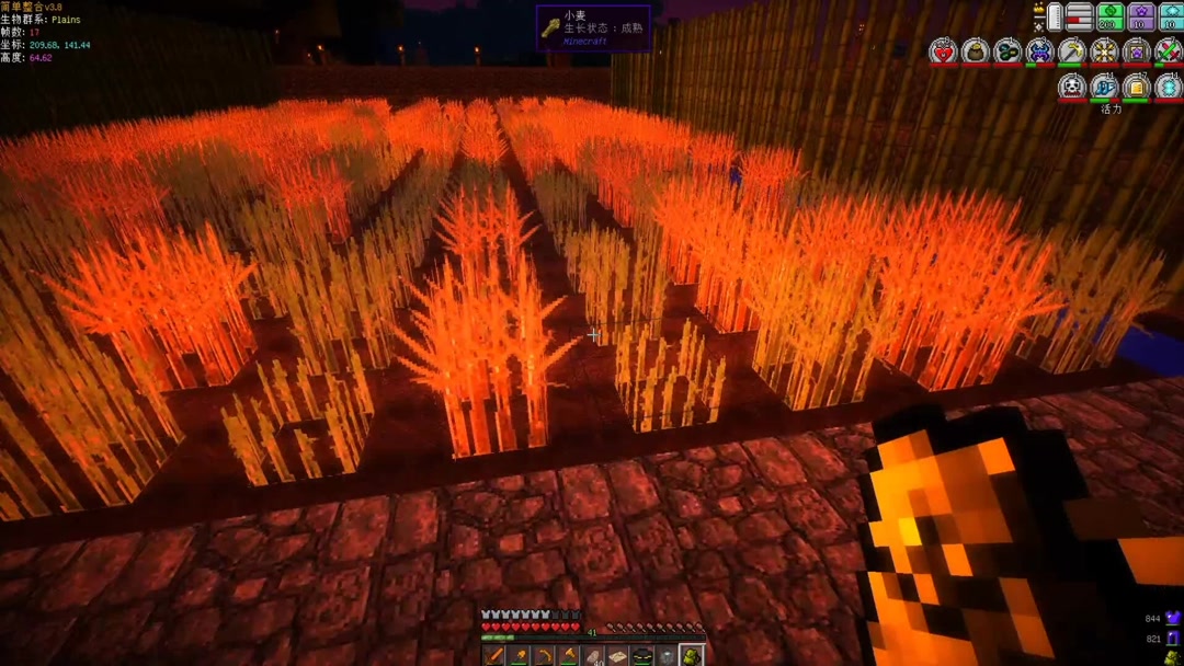 【游戏】《我的世界》Minecraft《虚无世界2》★第十八