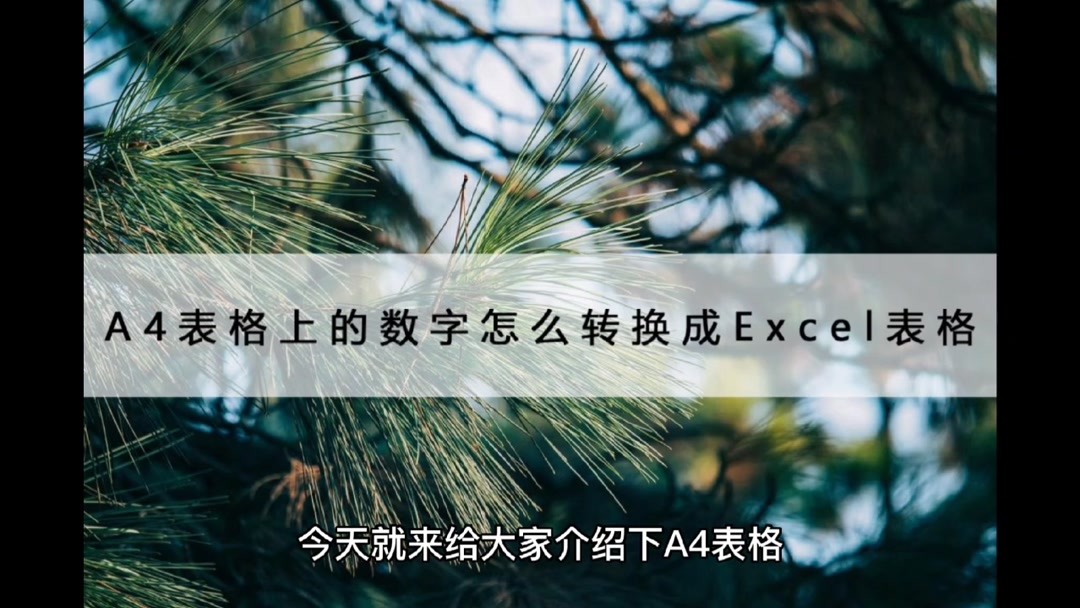 A4表格上的数字怎么转换成Excel表格?看完你就会了