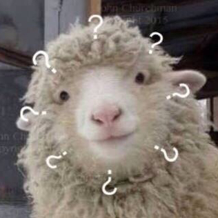 7391748 