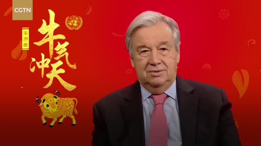 联合国秘书长拜年:牛年是我的本命年!