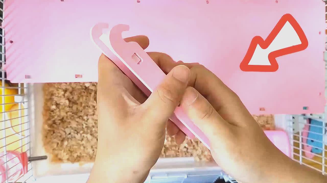 给我家小仓鼠买的大别墅,这配套也太齐全了,网友:太幸福了!