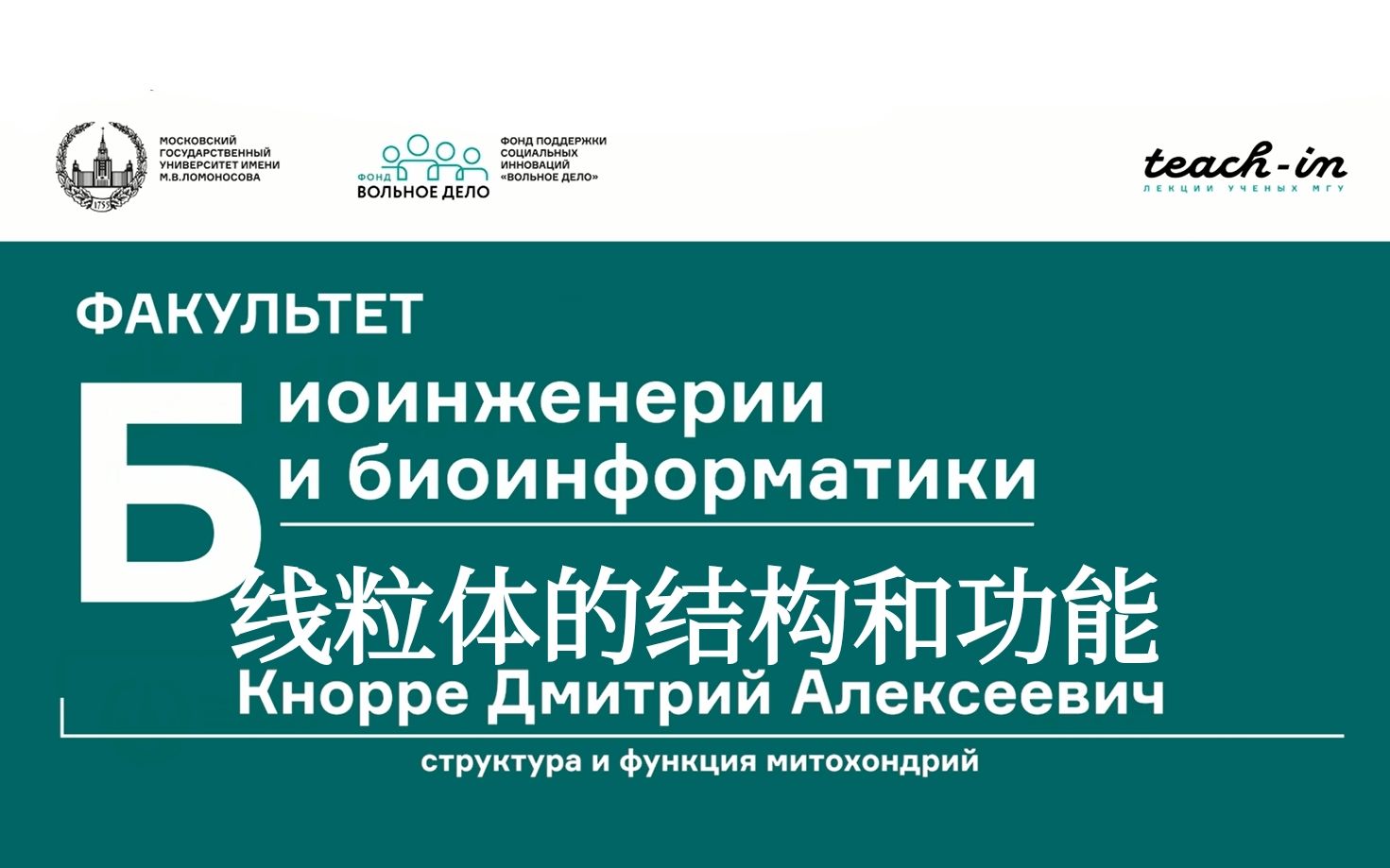 线粒体的结构和功能Структура и функция ...