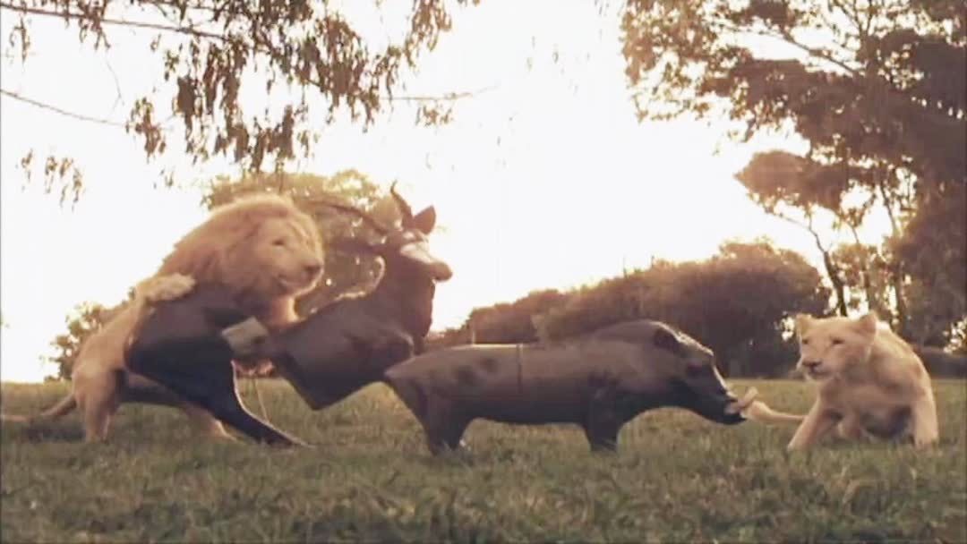 测试员用动物模型试验,发现狮子重点攻击猎物这两个部位