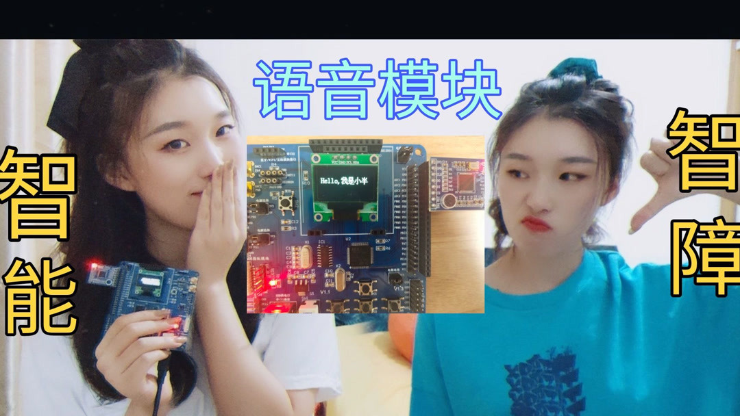 智(zhi)能(zhang)语音识别模块