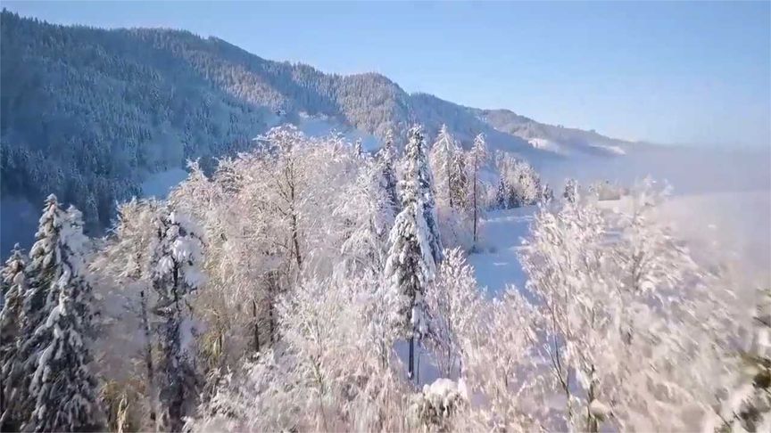 助眠钢琴轻音乐:不要为小事遮住视线,我们还有更大的世界