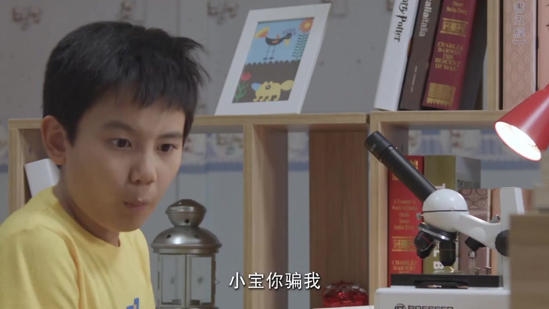 快乐酷宝 第2部 百科显微镜 精华版