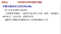细胞通过内环境与外界环境进行物质交换时的穿膜问题-高三生物易错...