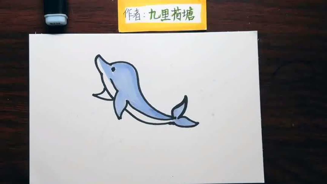 10 海豚简笔画视频教程