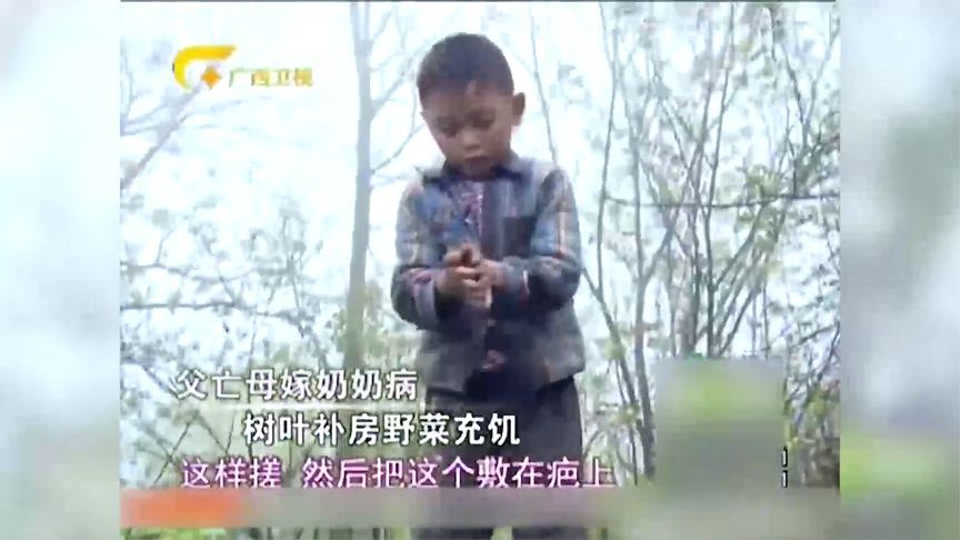 第一书记:父亡母改嫁,8岁男孩成家里顶梁柱,祖孙二人野菜充饥