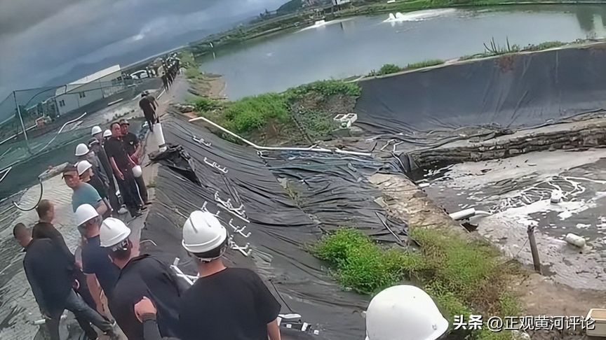 正观视评:因产权纠纷上门清空虾塘,执法程序不应失当