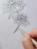复习一下画菊花,如果觉得难,主页有一个更简单的视频噢～#画画