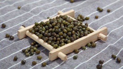 养生怎么少得了绿豆,但是这两种情况就不宜使用了!