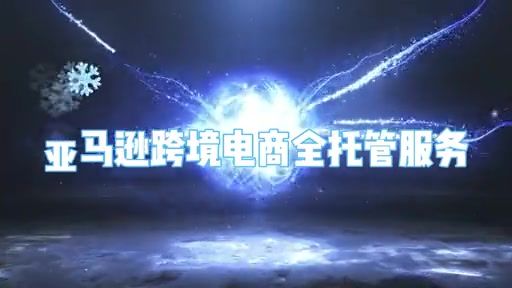 亚马逊跨境电商#