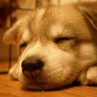 就玩不一样的游戏 