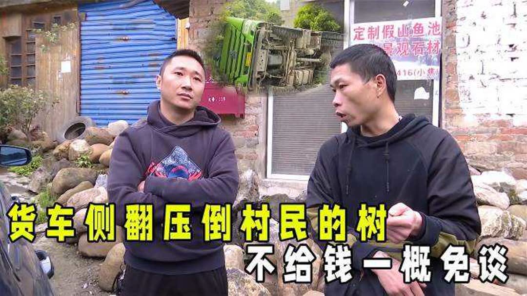 "不给16万别想吊车",货车侧翻压倒村民的树,不给钱一概免谈