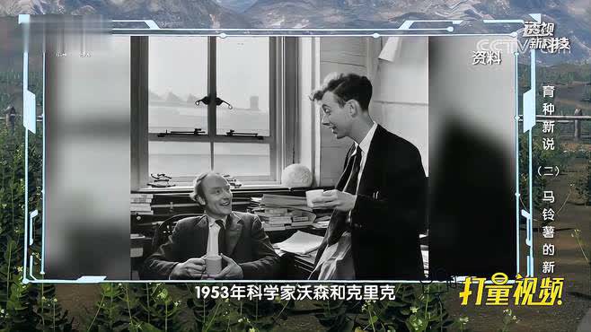 科学家沃森和克里克发现了DNA分子的双螺旋结构|透视新科技