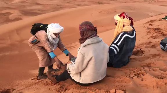 #带你走遍全世界# 世界第一大沙漠撒哈拉撒个欢儿