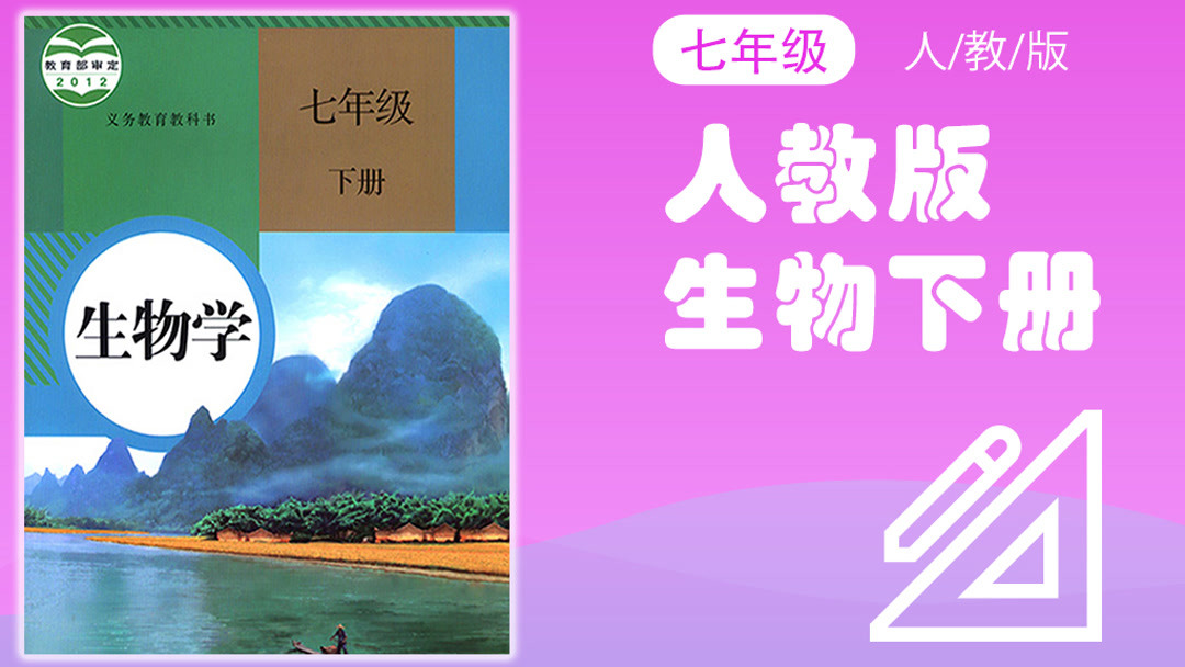 第四单元第三章第二节《发生在肺内的气体交换》