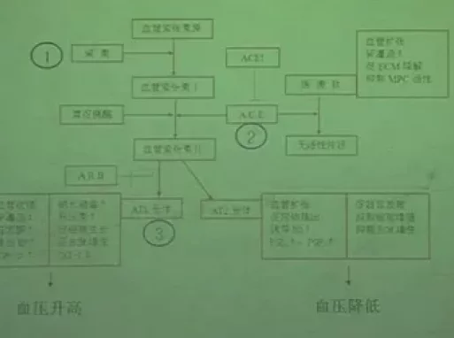 第13讲 肾素-血管紧张素药理 艾静_标清