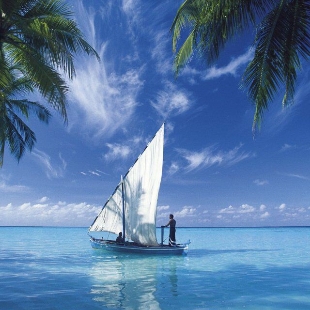 任县恒鑫机械制造厂 