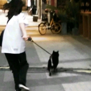 阿弋的闲暇时光 