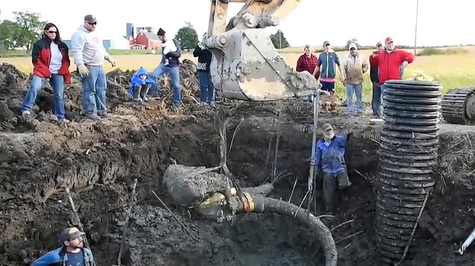 旷工在地下挖出"巨型生物",长着2米长"巨角",专家表示:值