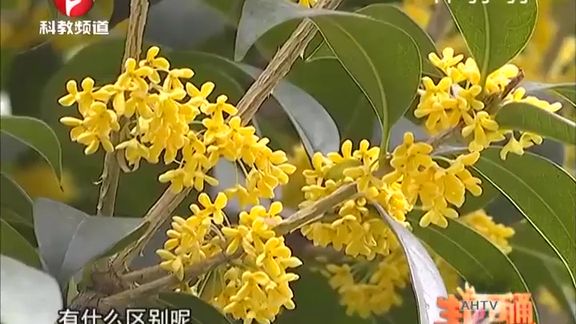 感冒发生因为人体抵抗力下降,病毒乘虚而入,且热感冒不能冷处理