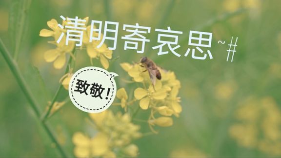清明时节寄哀思#回到了家乡祭祖,并为新冠肺炎烈士哀悼~