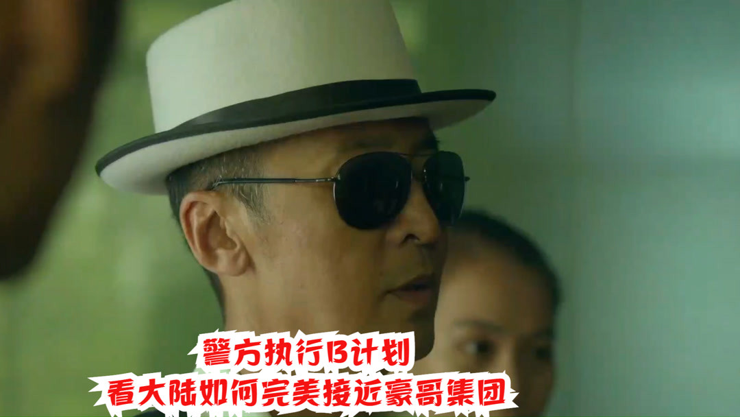 卧底:警方执行B计划,看大陆如何完美接近豪哥集团