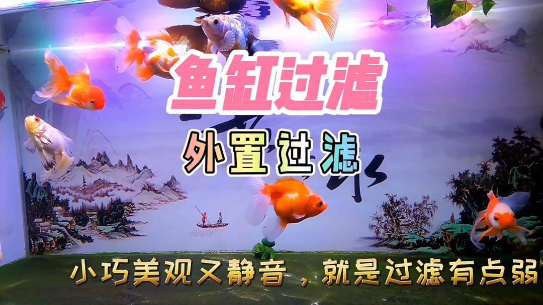 养鱼笔记第2季11集:鱼缸过滤那点事-壁挂和外置过滤,小而美