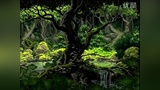 [放放上传]效果惊艳的HTML5动画