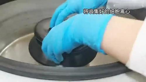 【短视频大赛】BCA蛋白浓度测定