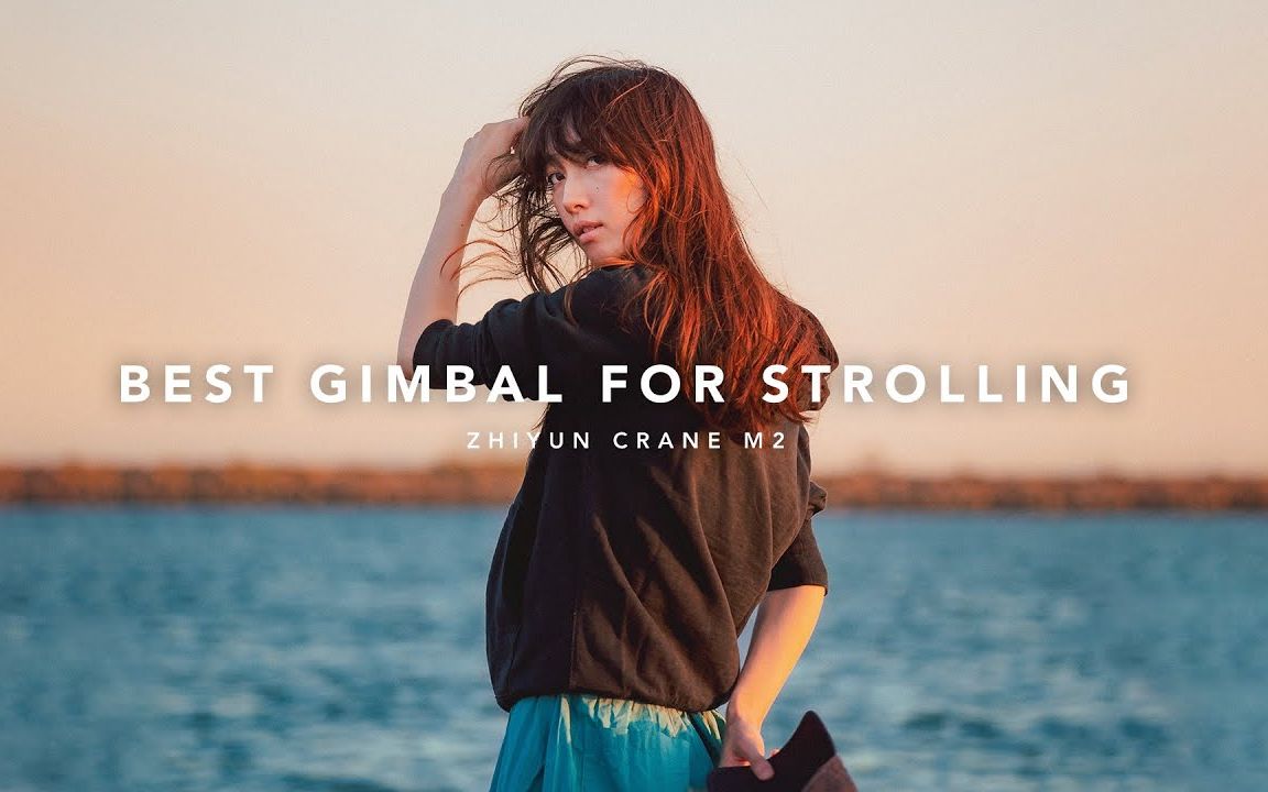 【中文字幕】智云云鹤M2评测,最好的日常VLOG便携稳定器?| AUXOUT