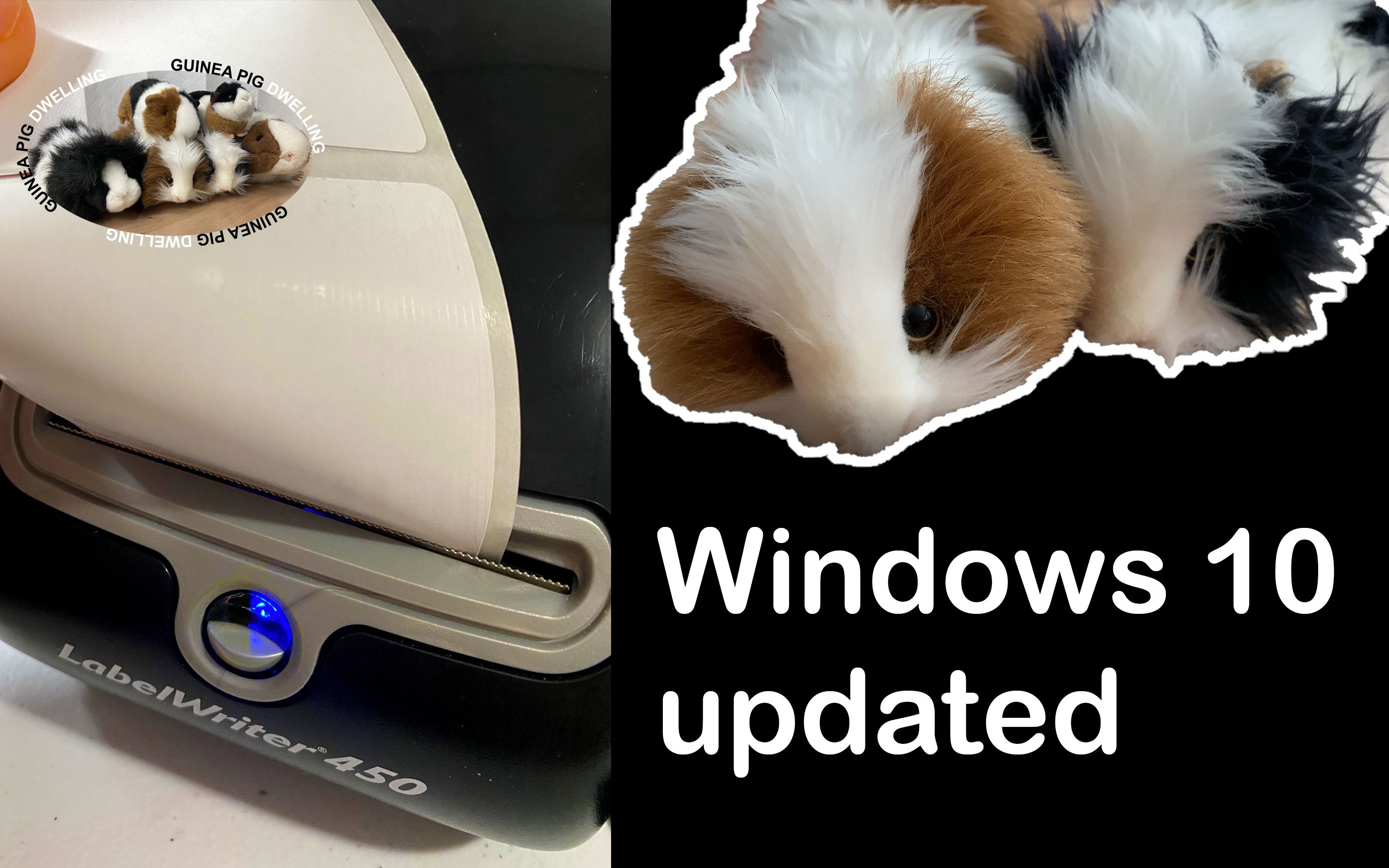 DYMO Label Printer Printing Blank Due To Windows 10 System ...