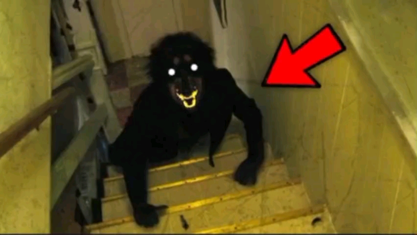 5个真实发生神奇现象、神秘诡异的猎奇录像!