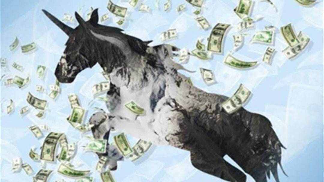 高洪庆:独角兽企业名单发布认定标准引质疑