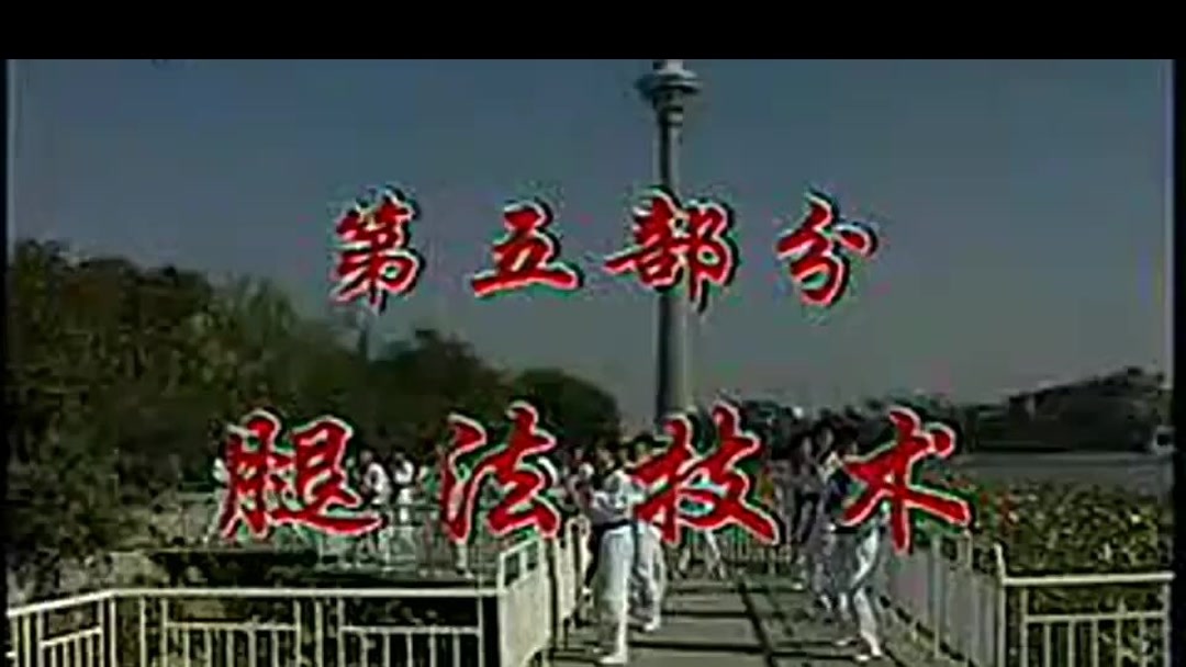 跆拳道基础训练教程(跆拳道教学视频)哇