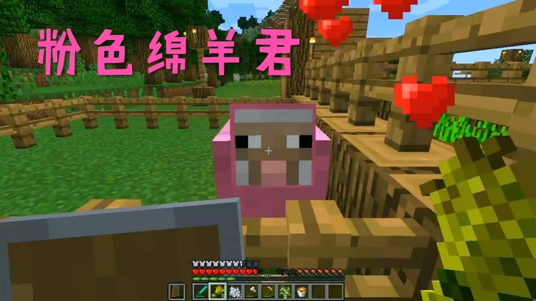 我的世界天域的传说05 捕获粉红色绵羊君, 千金难换稀有动物